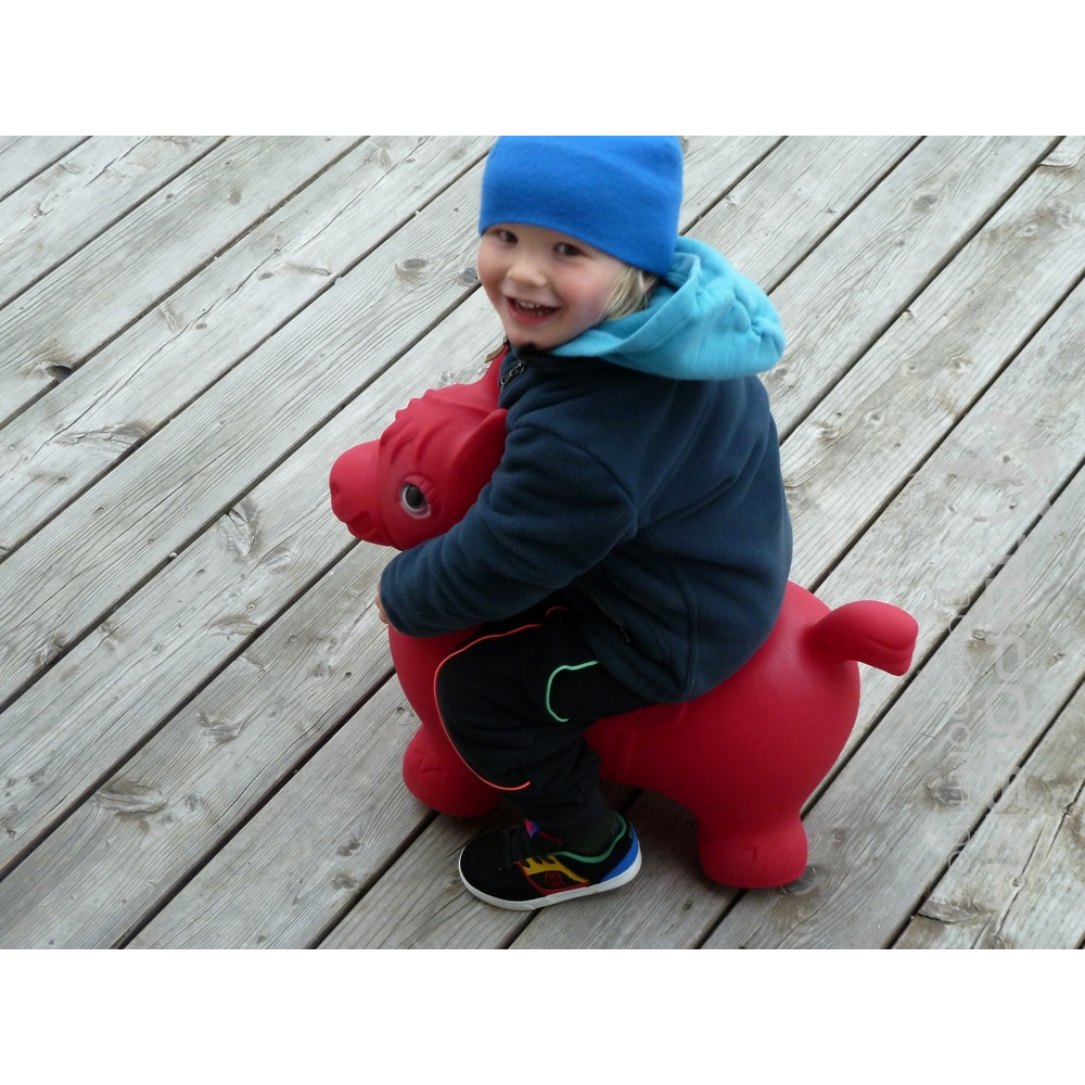 Osiołek Bonito TOGU| Hurtownia, Dystrybutor - Sklep Internetowy TB-Polska